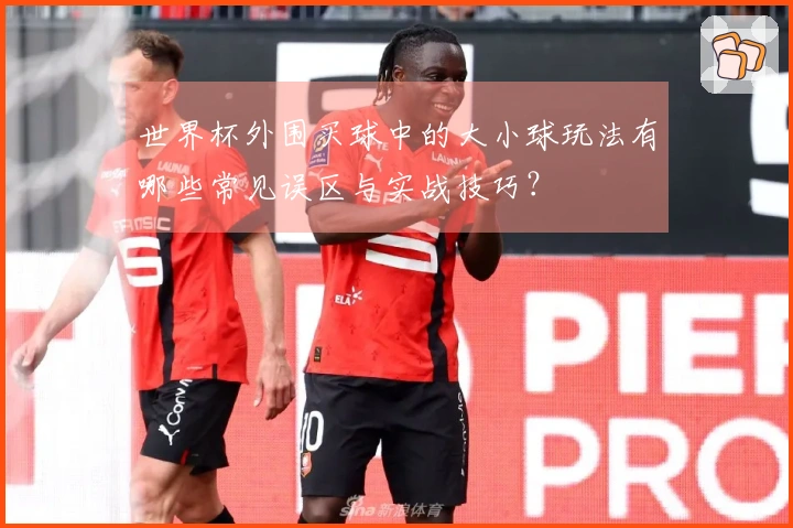世界杯外围买球中的大小球玩法有哪些常见误区与实战技巧？ - NG体育